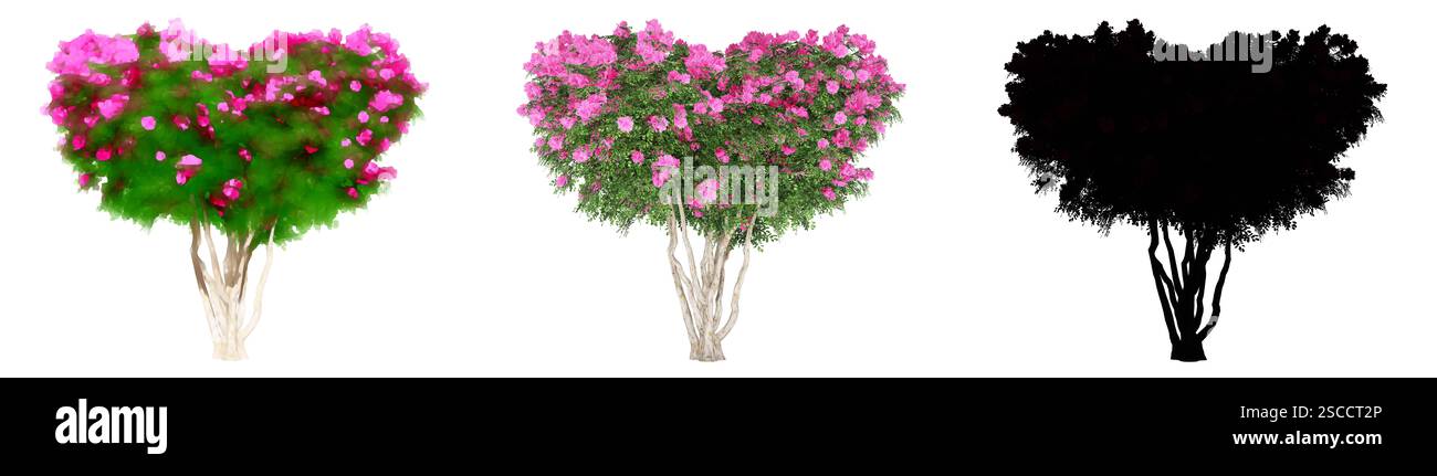 Set or collection of Crape Myrtle trees, painted, natural and as a ...