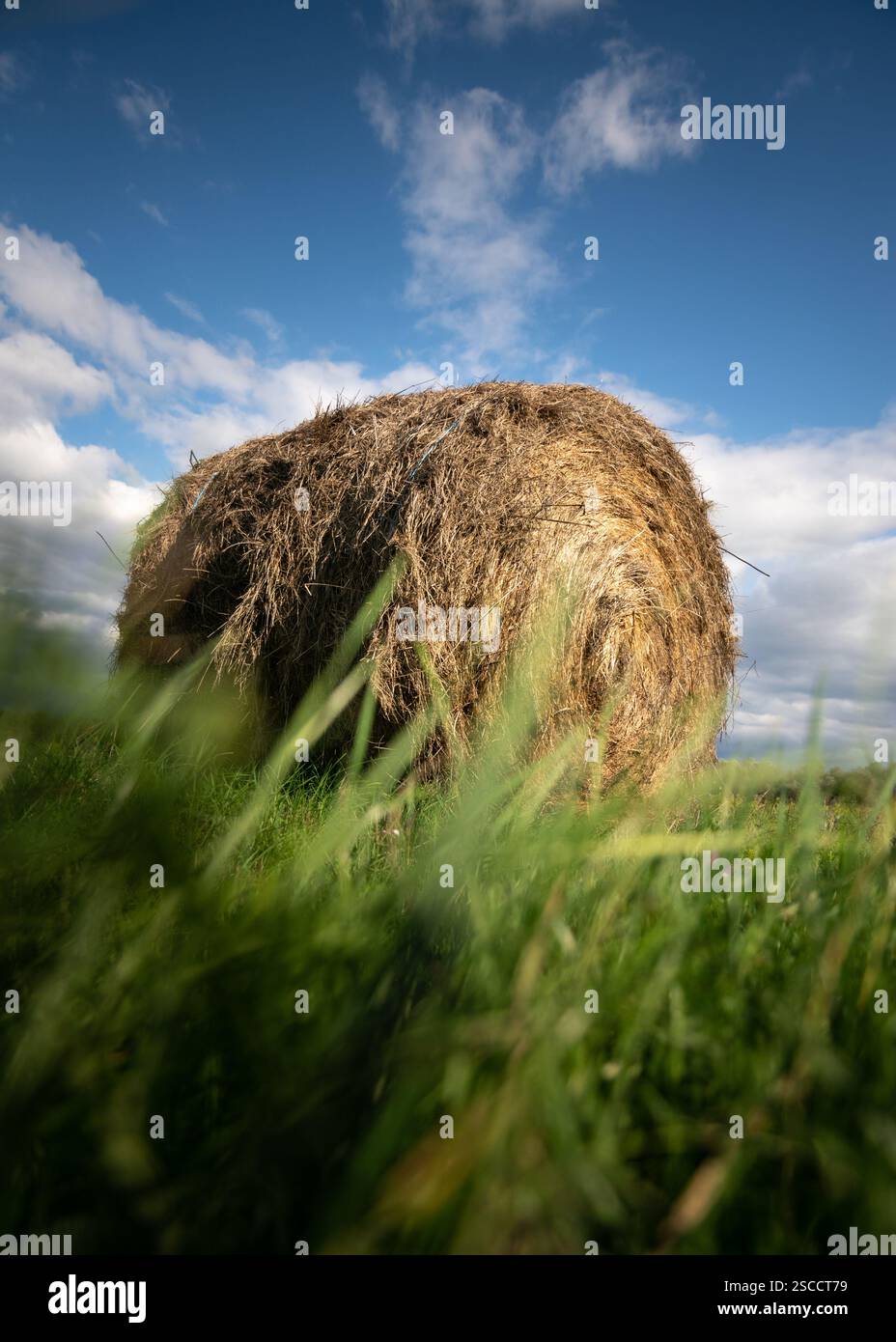 Bale dry grass forage hi-res stock photography and images - Alamy