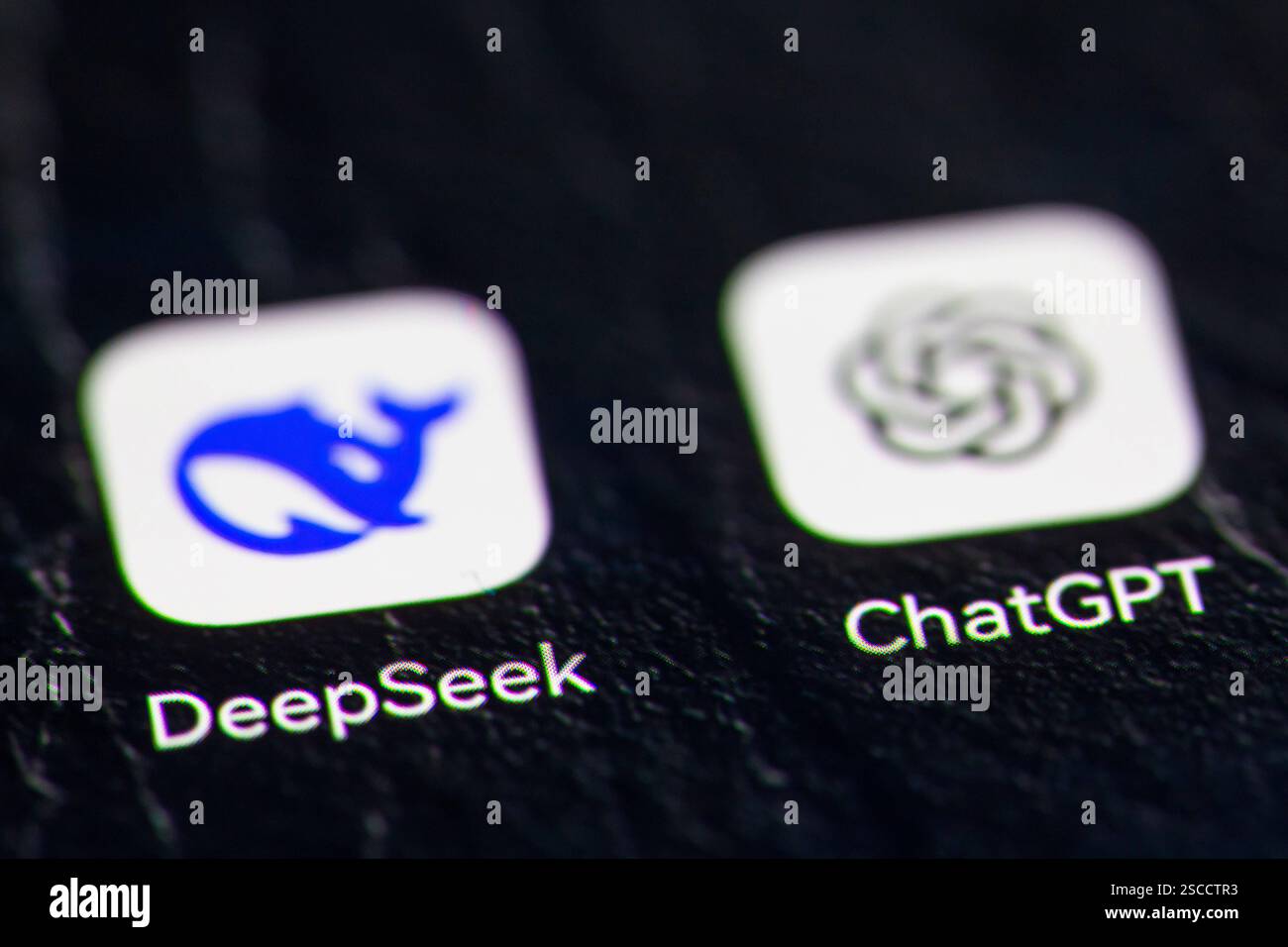 Symbolfoto Deepseek DEU/Deutschland/Illustration, 06.02.2025, deepseek ...