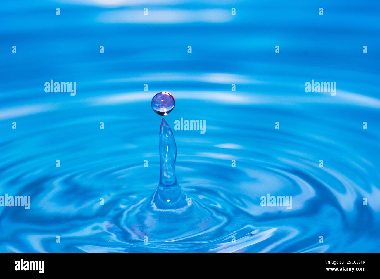 Water drop falling into water making a perfect concentric circles Stock Photo - Alamy