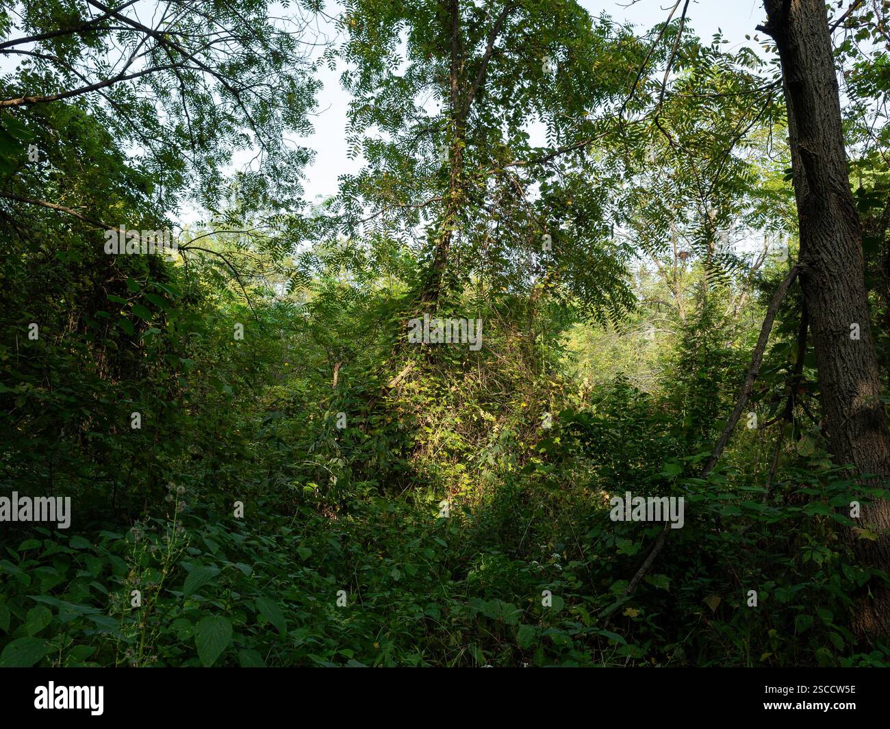 Turtle Creek, Location: Beloit WI Stock Photo - Alamy