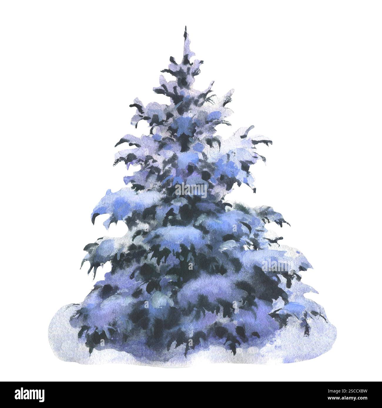 Watercolor illustration snowy fir tree. Hand painted Christmas woodland ...