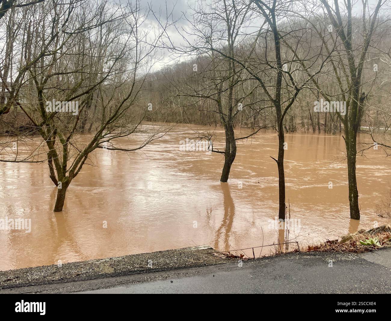 Flooding along the swollen Pocatalico River is shown Thursday, Feb. 6 ...