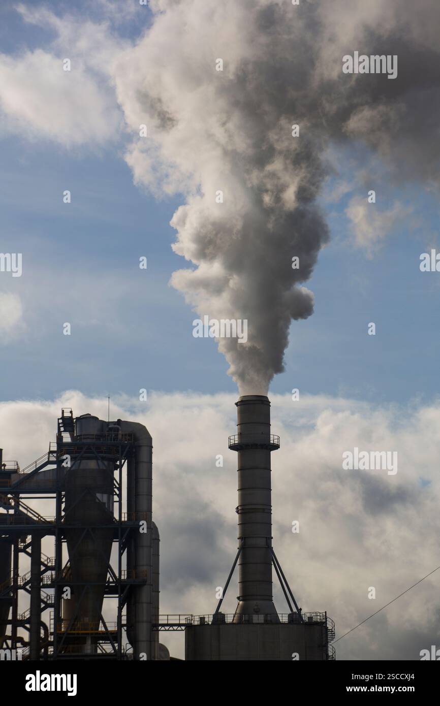 Chimney of a wood processing plant. Chimney with white smoke in a blue ...