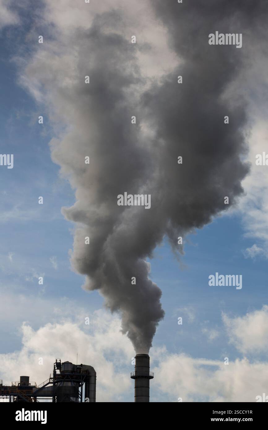 Chimney of a wood processing plant. Chimney with white smoke in a blue ...