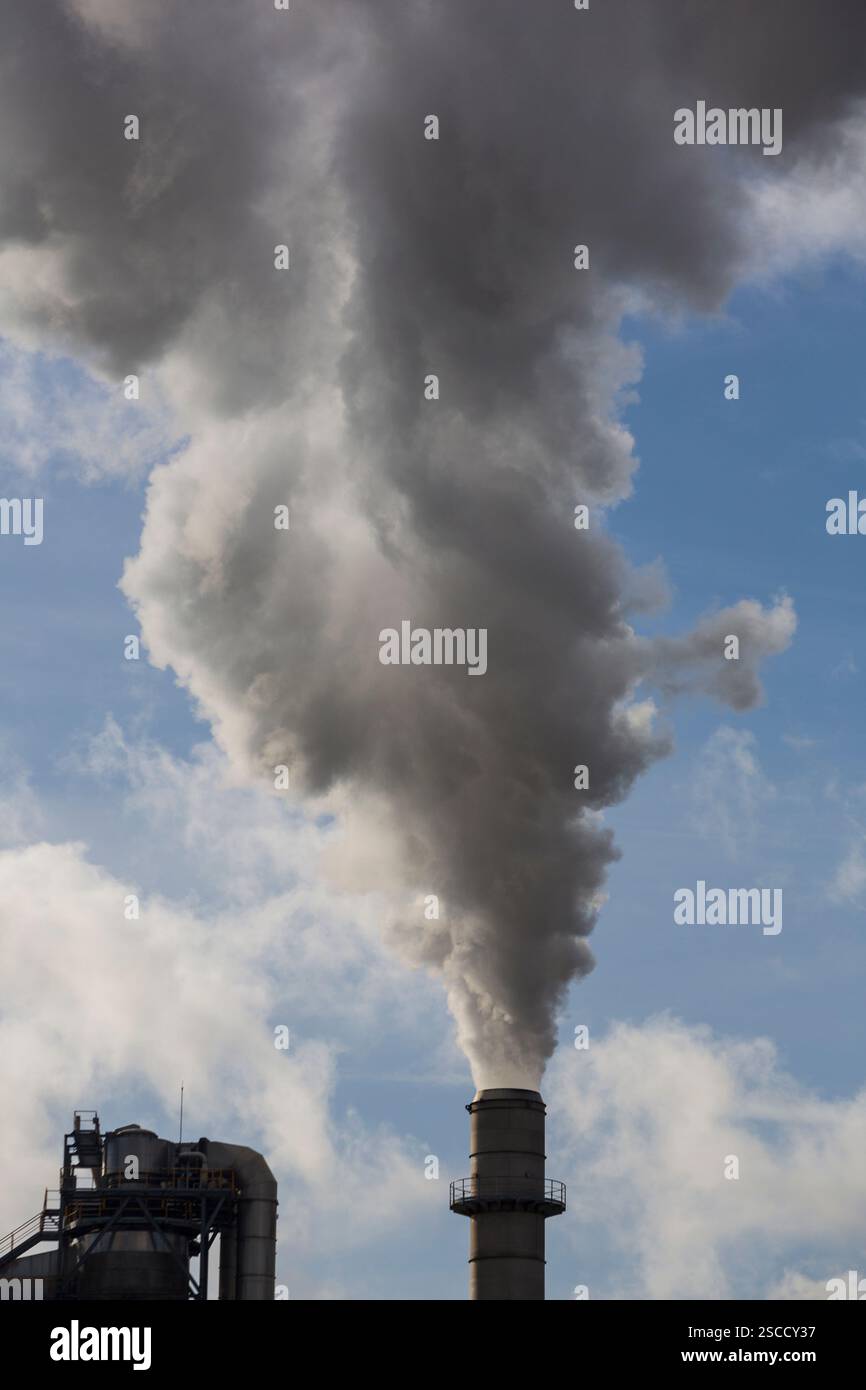 Chimney of a wood processing plant. Chimney with white smoke in a blue ...