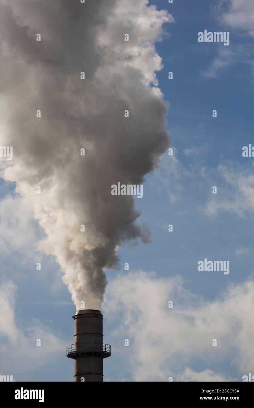 Chimney of a wood processing plant. Chimney with white smoke in a blue ...