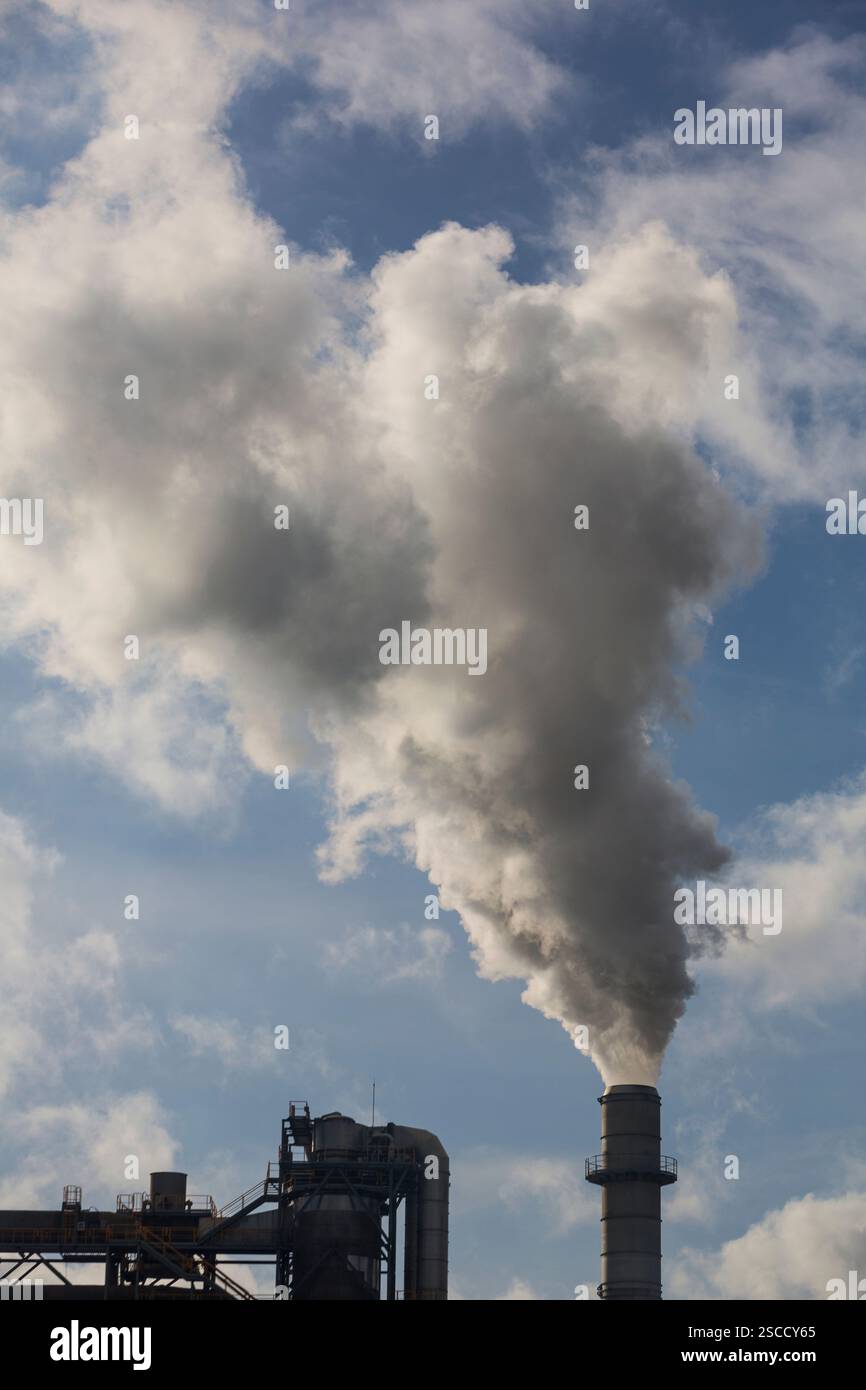 Chimney of a wood processing plant. Chimney with white smoke in a blue ...