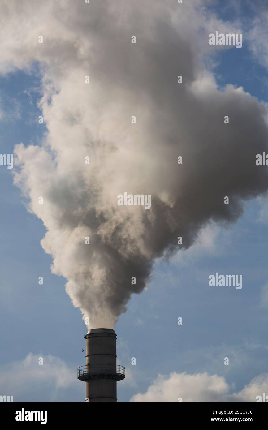 Chimney of a wood processing plant. Chimney with white smoke in a blue ...