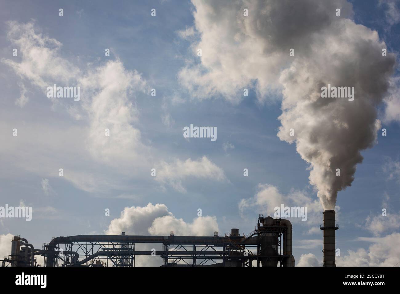 Chimney of a wood processing plant. Chimney with white smoke in a blue ...