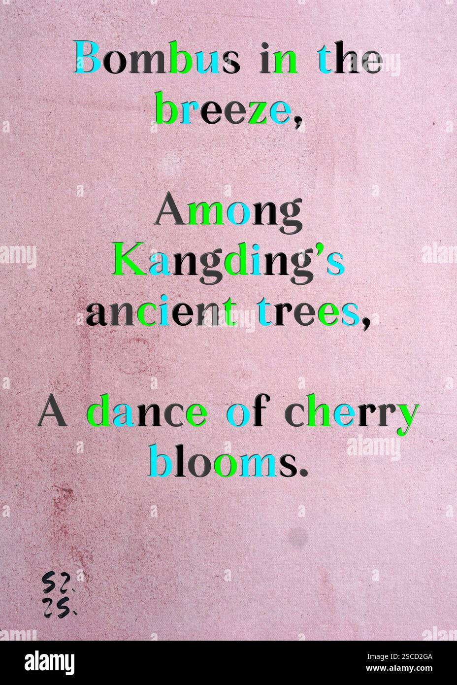 Bombus in the breeze, Among Kangding's ancient trees, A dance of cherry ...