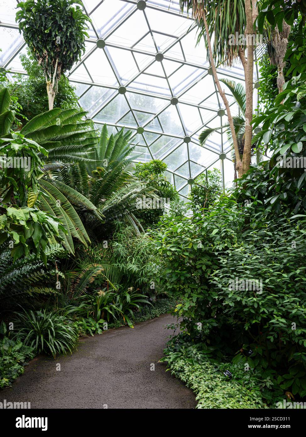 Missouri Botanical Garden - Climatron, Location: St. Louis MO, Murphy ...