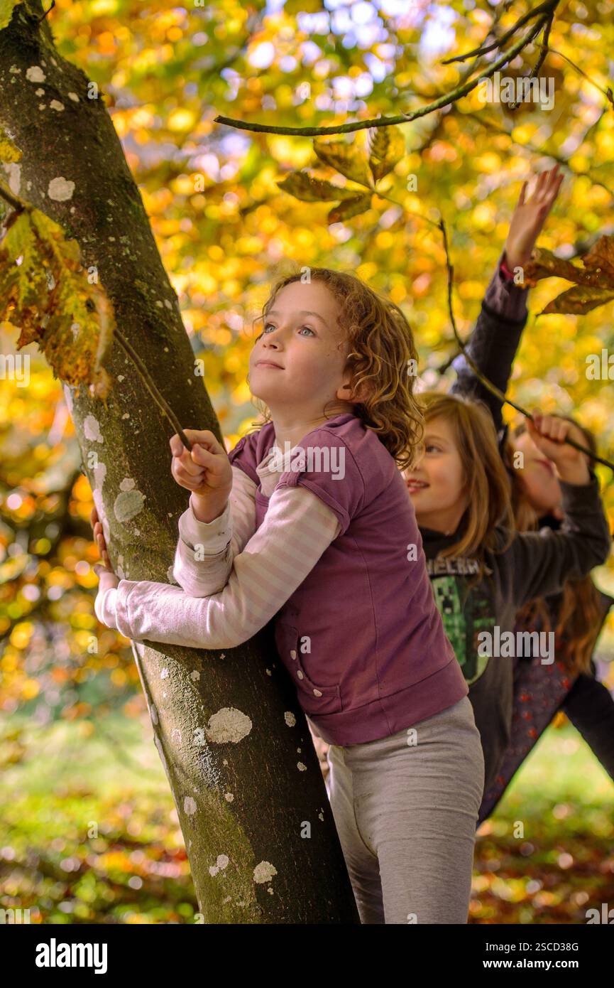 Children play amongst the branches of a Horse Chestnut tree in Silk ...