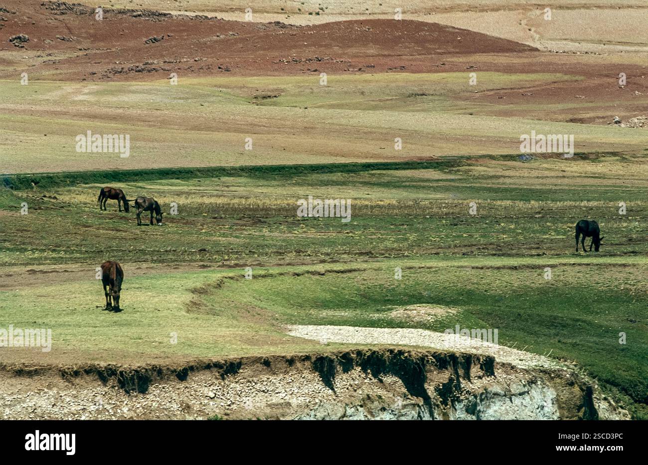 Bakhtiari lurs nomadic people hi-res stock photography and images - Alamy