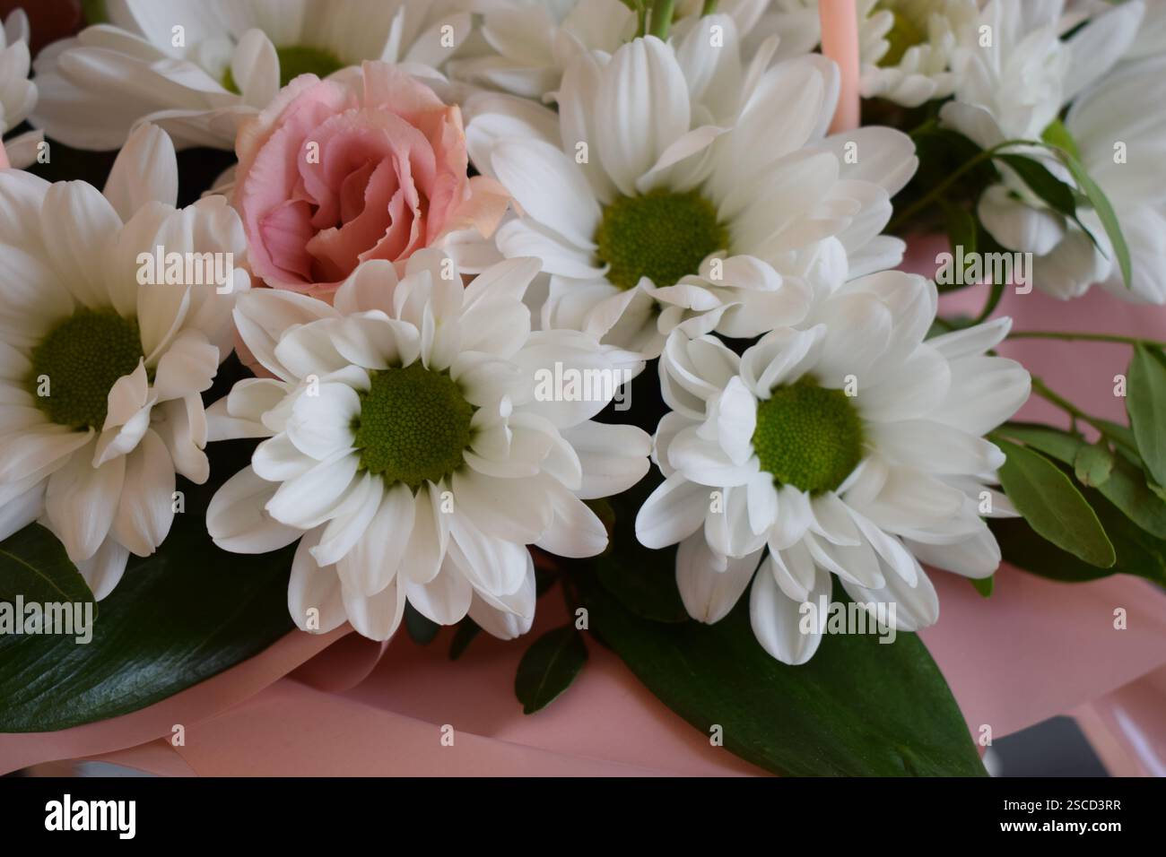 A close-up photograph of a bouquet of flowers. It features white daisy ...