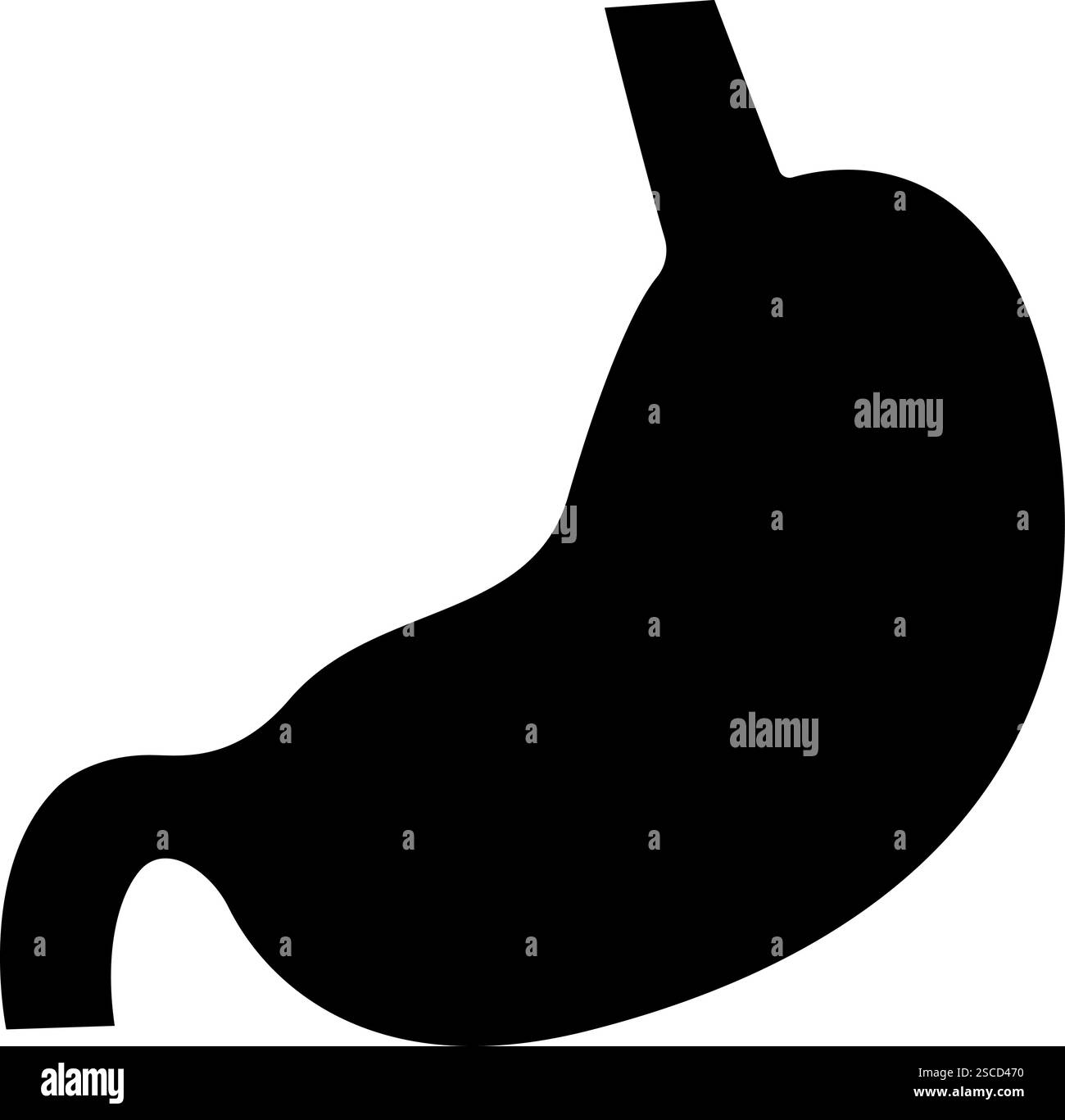 Stomach icon sign. Human organ signs and symbols Stock Vector Image ...