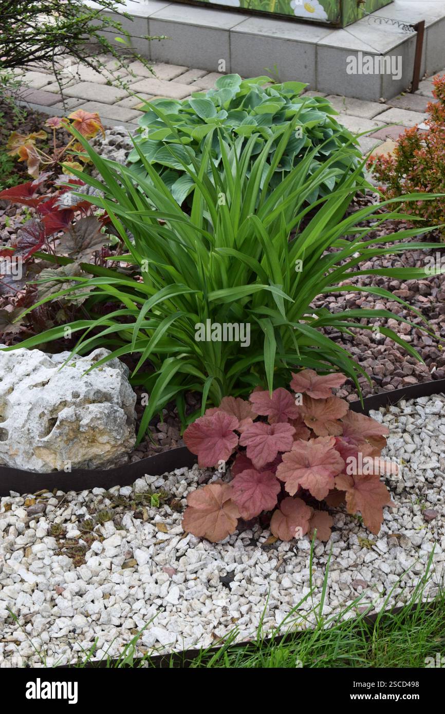 A well-maintained garden area featuring a variety of plants. The garden ...