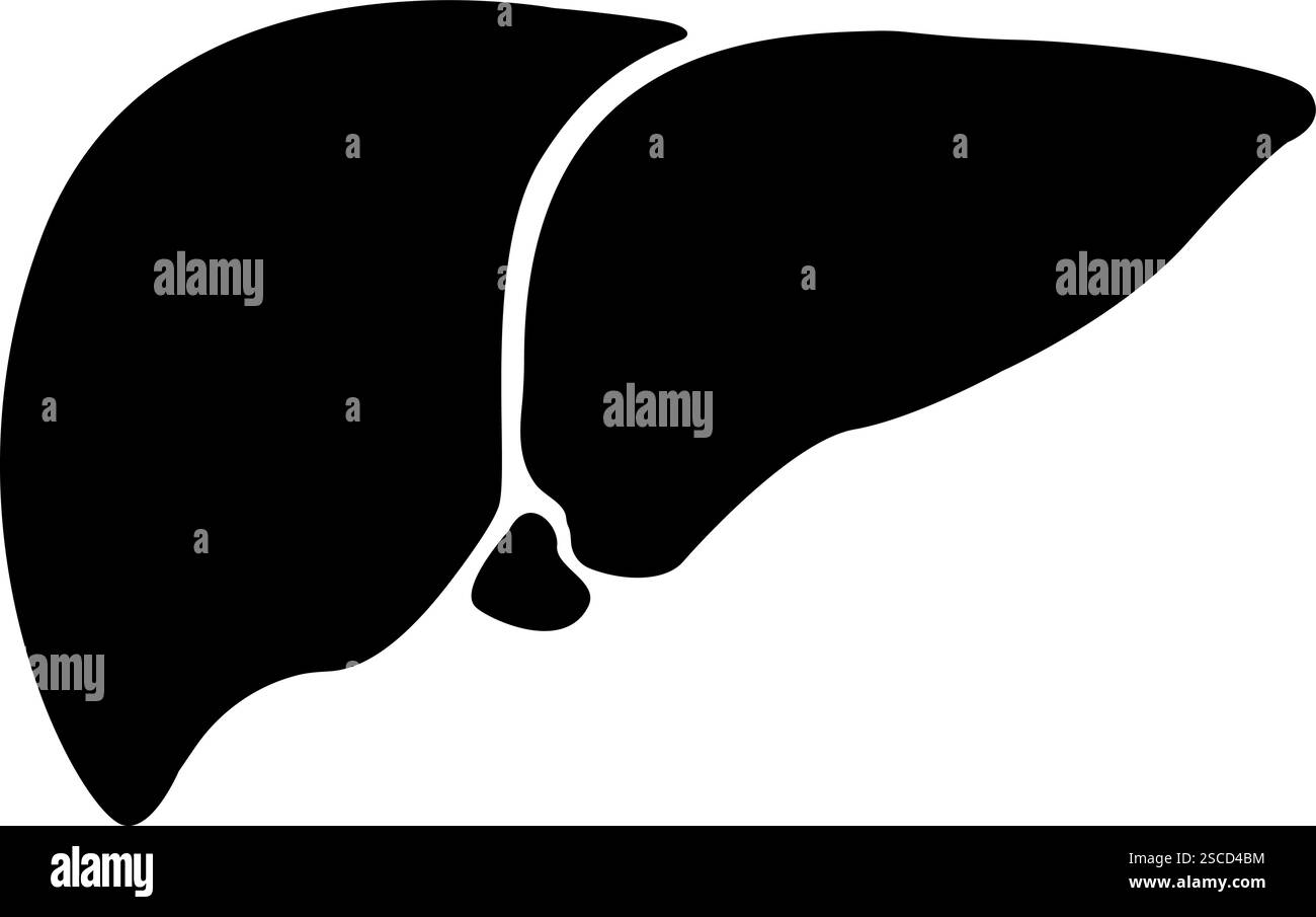 Human liver sign. Medical signs and symbols Stock Vector Image & Art ...