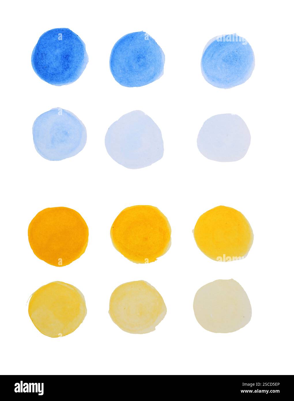 Painted watercolor samples on white background, top view Stock Photo ...