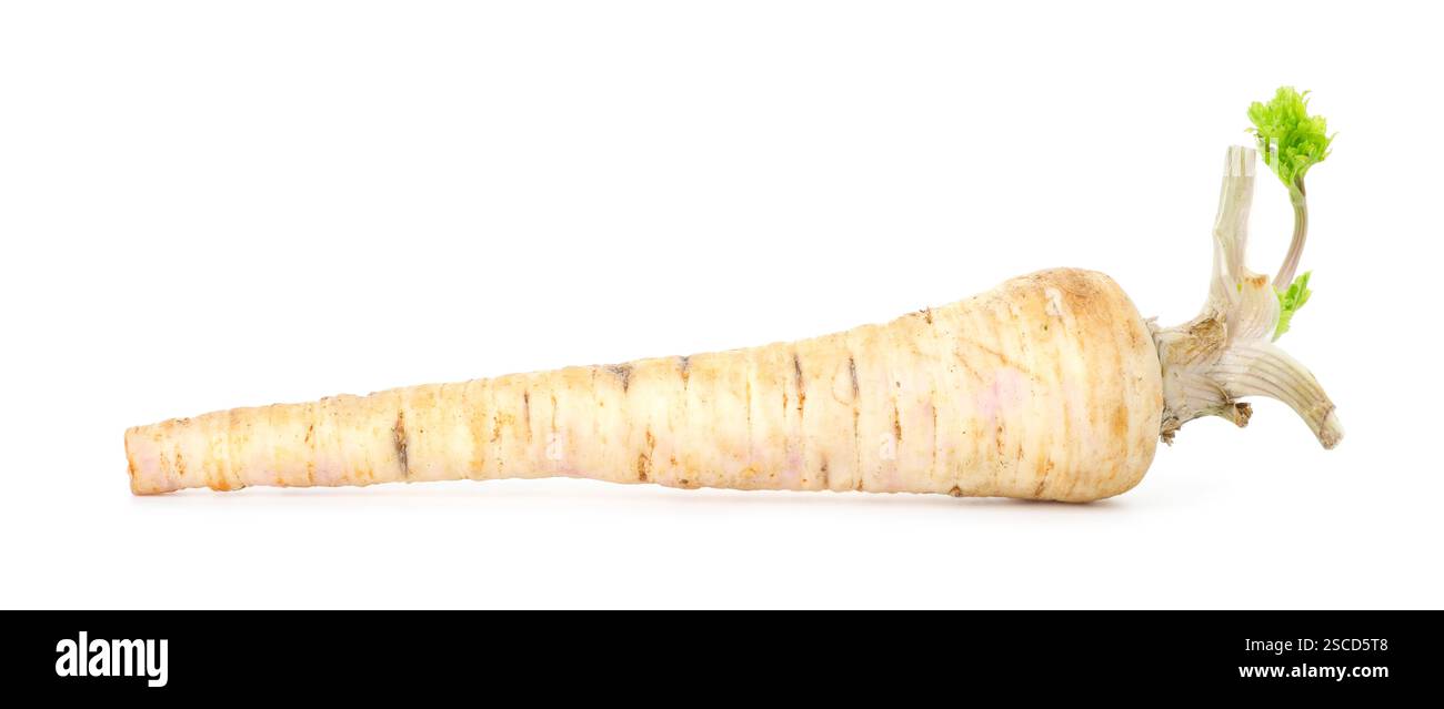 One fresh parsnip isolated on white. Root vegetable Stock Photo - Alamy