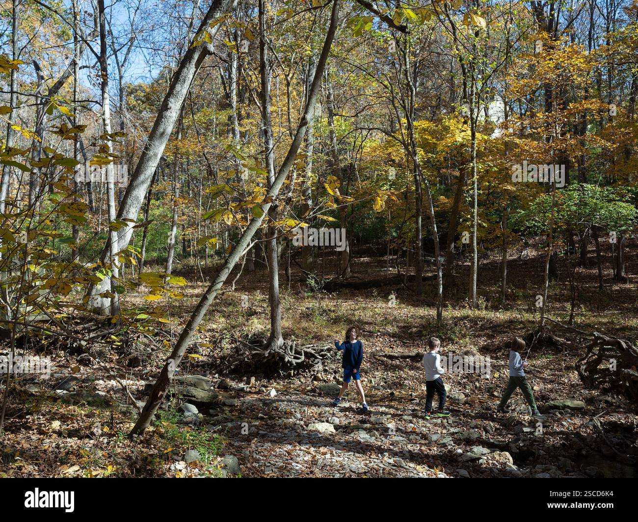 Powder Valley Conservation Nature Center, Location: Kirkwood MO Stock ...