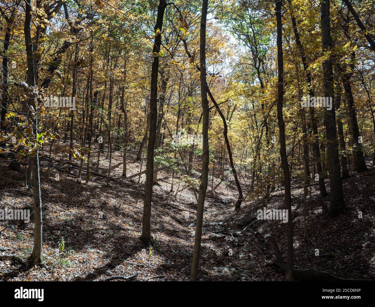 Powder Valley Conservation Nature Center, Location: Kirkwood MO Stock ...