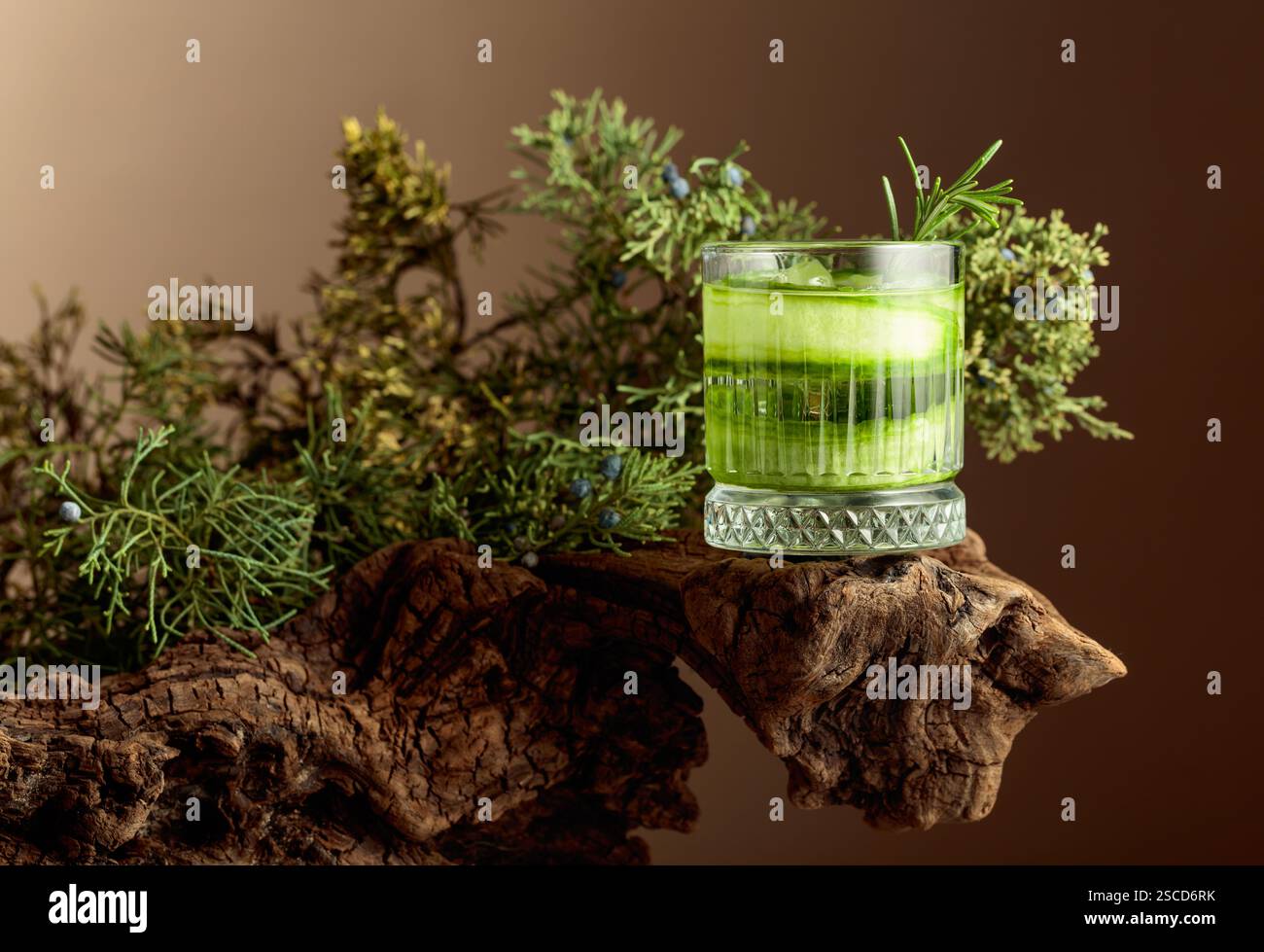 Cocktail gin and tonic with ice, cucumber, and rosemary on an old snag ...
