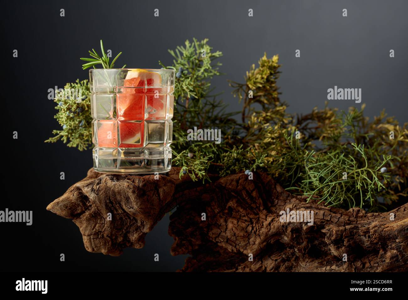 Cocktail gin and tonic with ice, grapefruit, and rosemary on an old ...