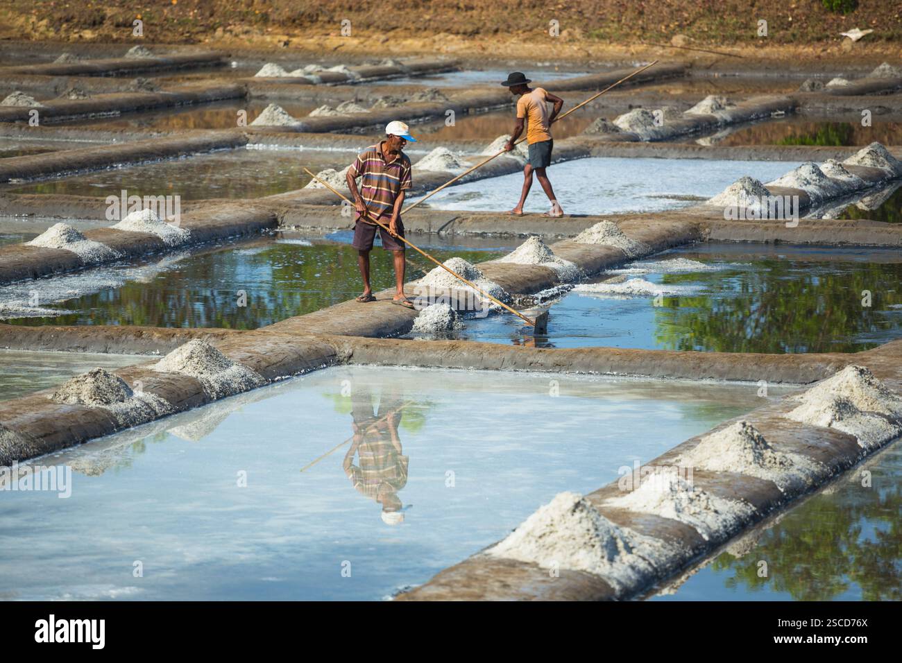 India, Goa, March 14 2017. Production of salt on a farm in India Stock ...