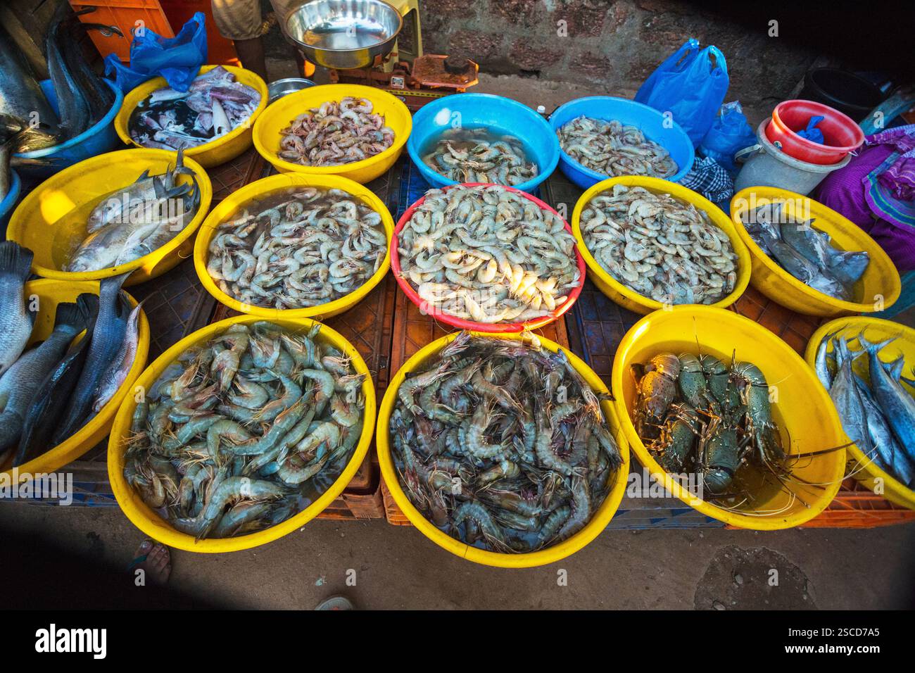 Sale of seafood in the markets of different cities of Goa and other ...