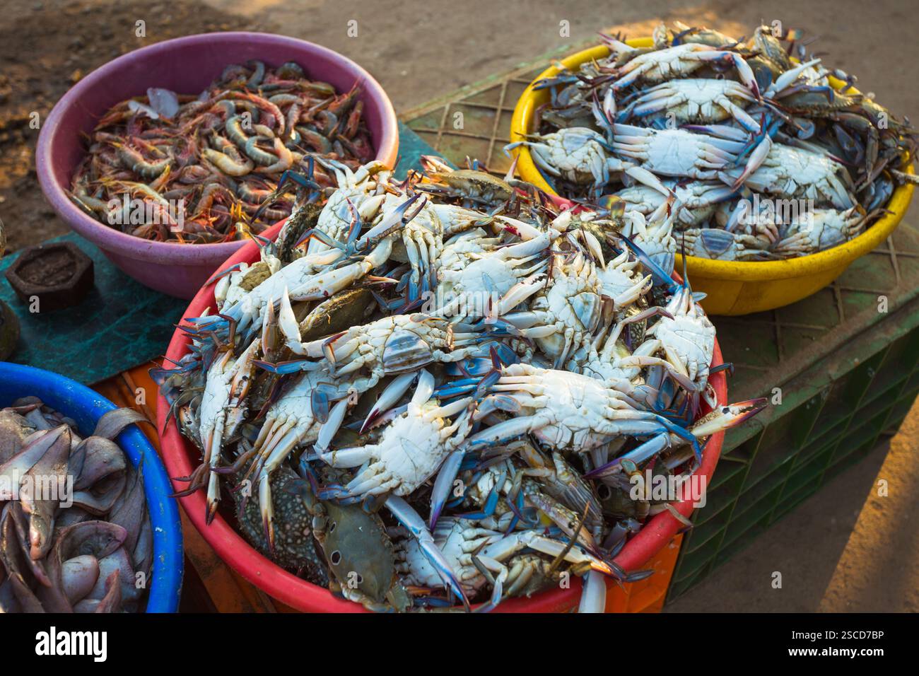Sale of crabs in the markets of different cities of Goa and other ...