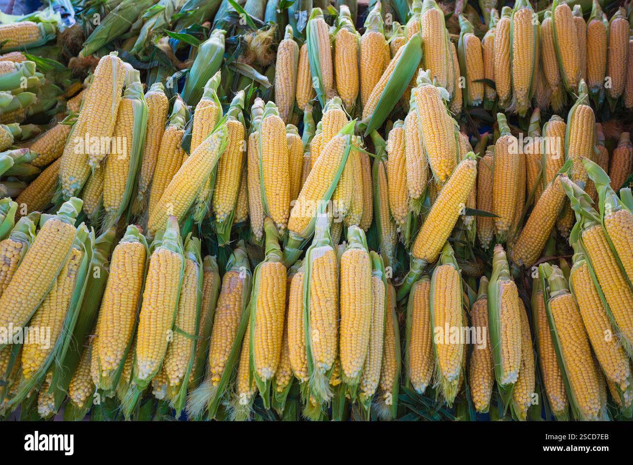 Sale of corn in the eastern markets in Turkey. Background Stock Photo ...
