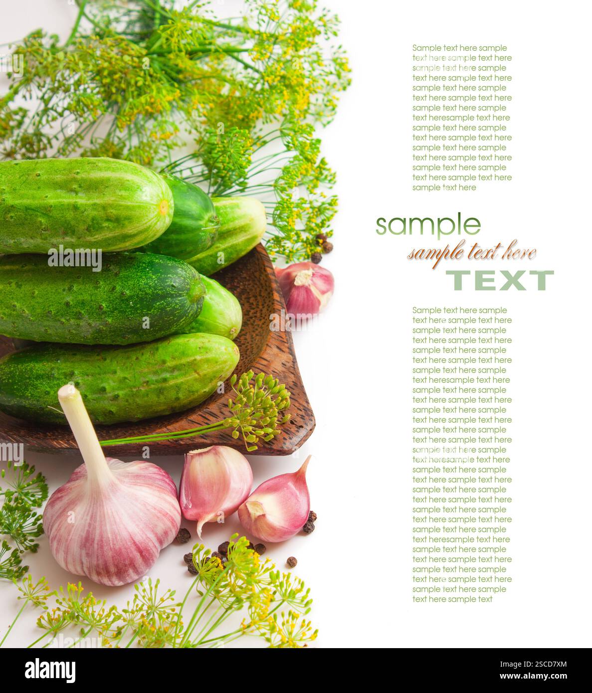 pickling cucumbers and spices isolated on white background Stock Photo ...