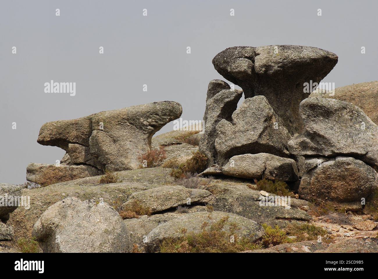 Bizarre granite forms eroded by the elements over the centuries Stock ...