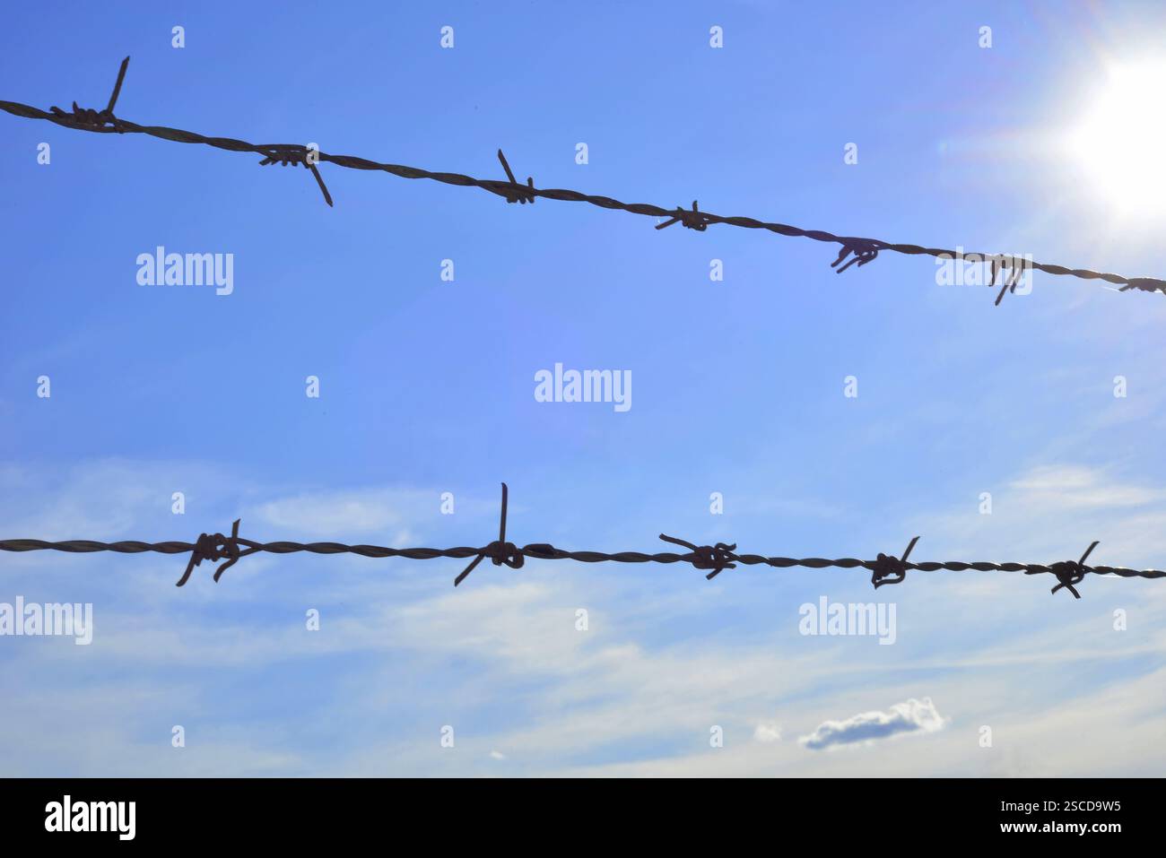 Two strands of barbed wire on a blue sky background Stock Photo - Alamy