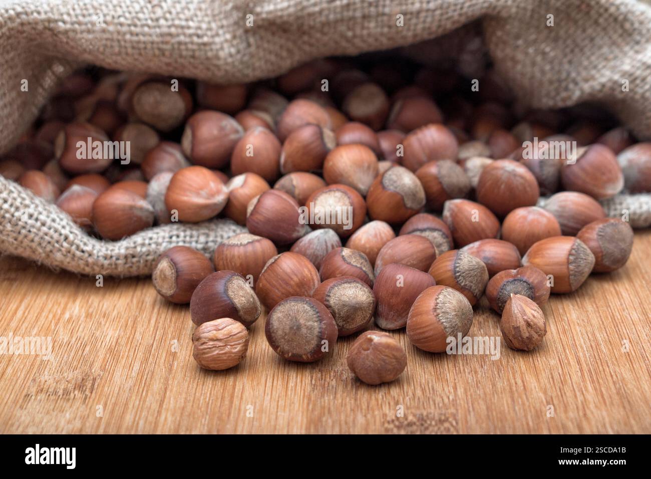 Sack of hazelnut. Ripe hazelnuts in shell. Background image of pile of ...