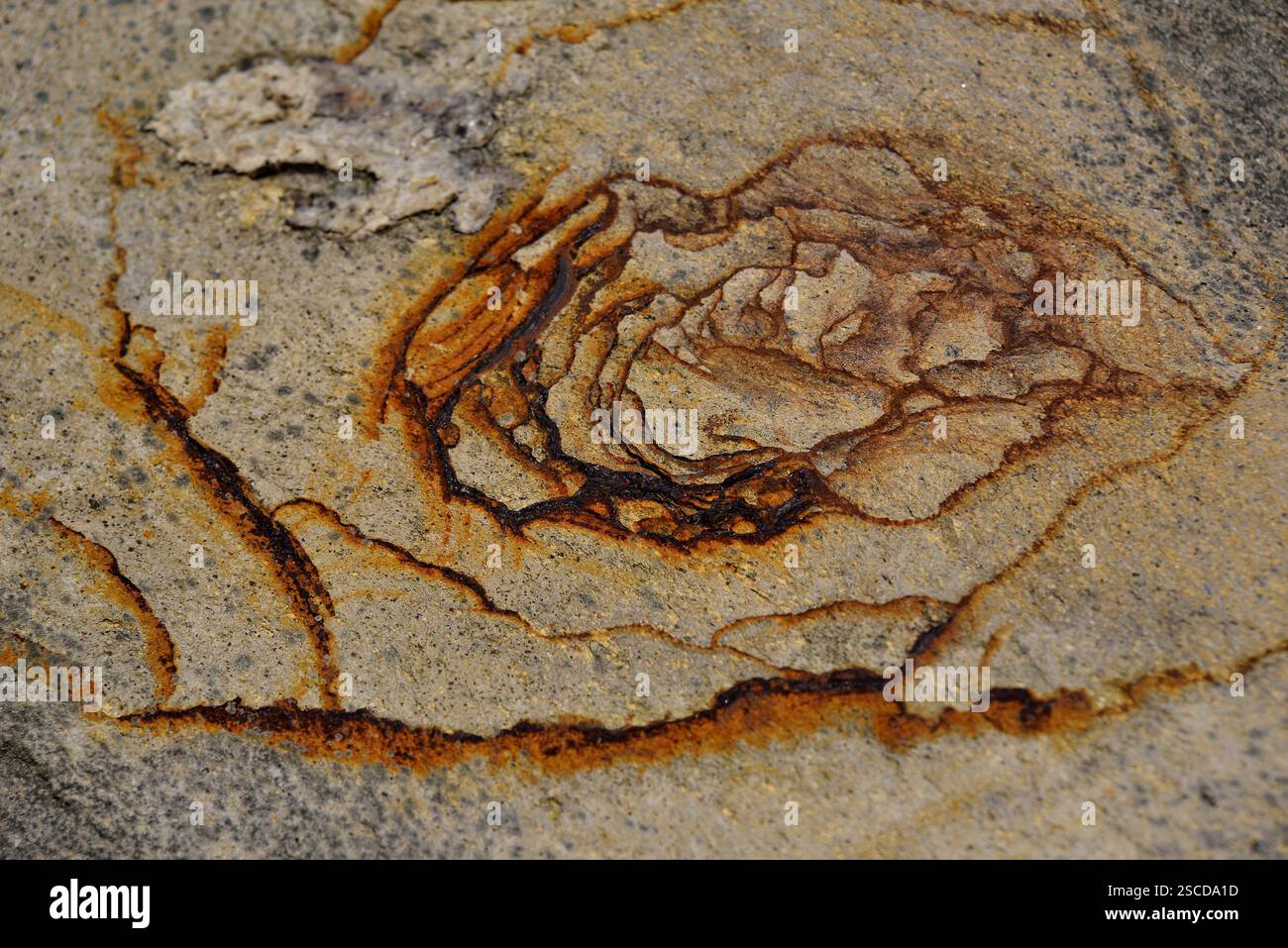 Patterns textures sandstone rock hi-res stock photography and images ...