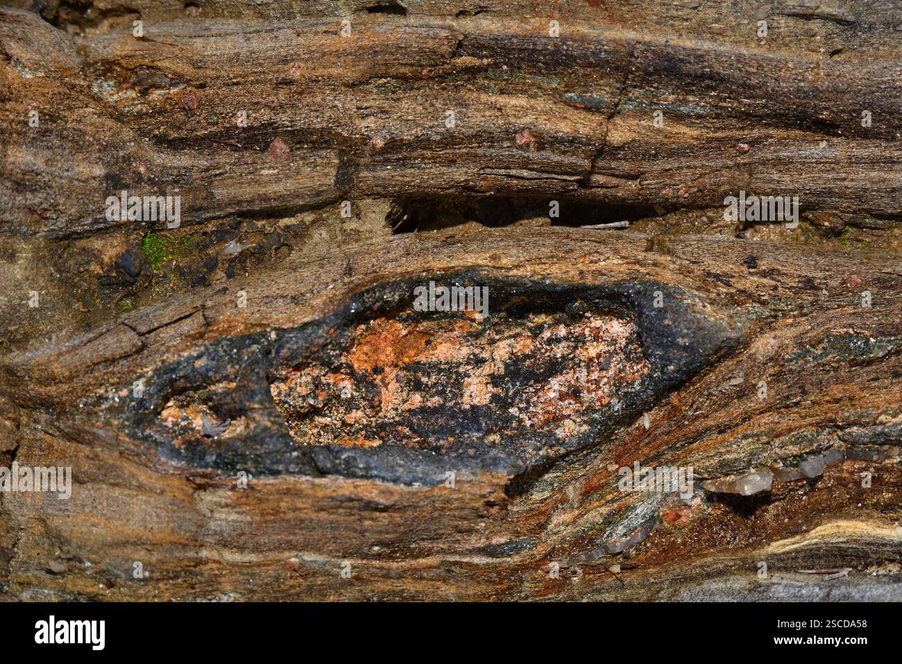 Detail of stratified sedimentary rock with large porphyriclast with ...