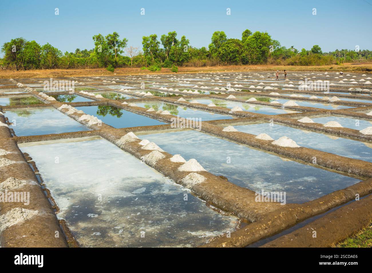 India, Goa, March 14 2017. Production of salt on a farm in India Stock ...
