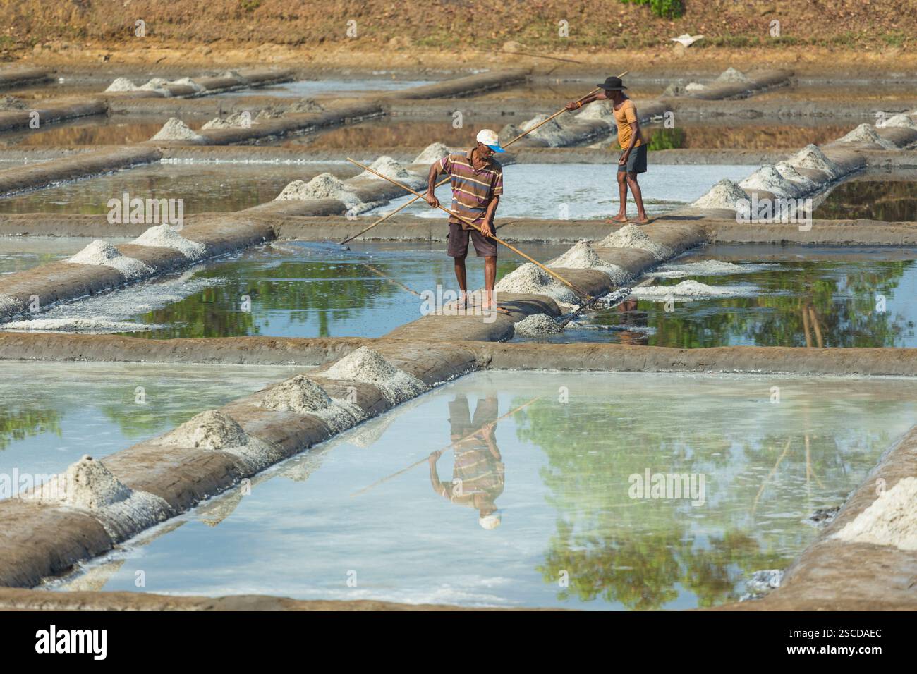 India, Goa, March 14 2017. Production of salt on a farm in India Stock ...
