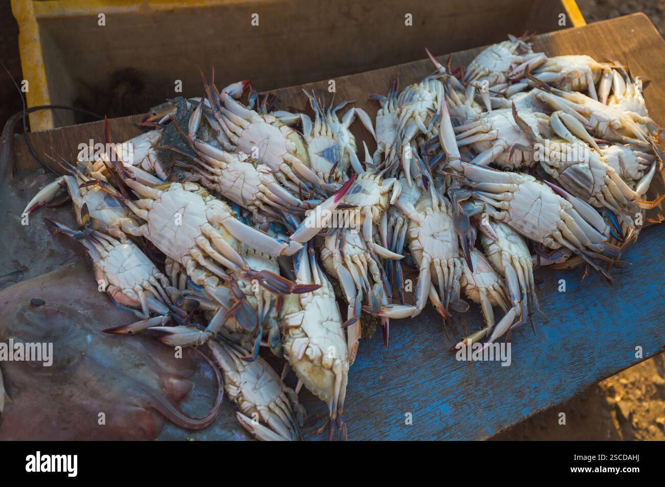 Sale of crabs in the markets of different cities of Goa and other ...