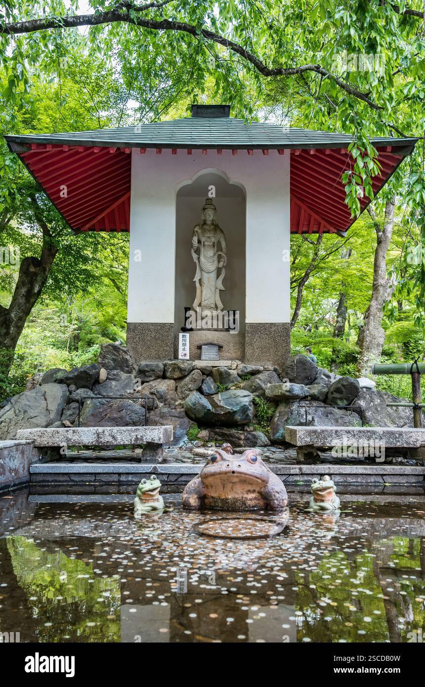 Small pond with many coins and a frog statue in a japanese garden ...