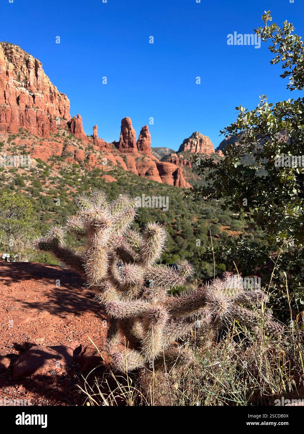 View of Cathedral Rock in Sedona, Arizona Stock Photo - Alamy