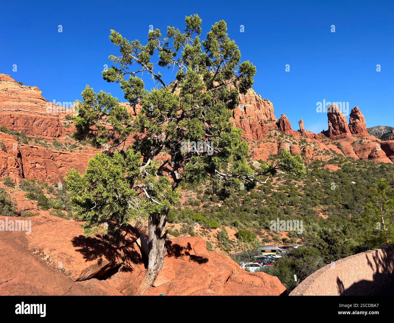 View of Cathedral Rock in Sedona, Arizona Stock Photo - Alamy