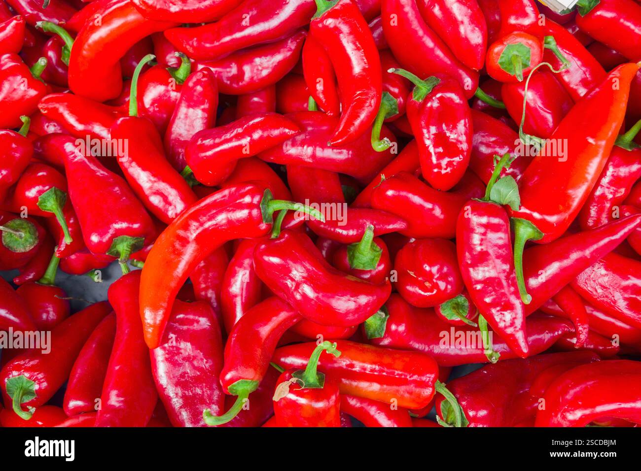 Big red chilli pepper hi-res stock photography and images - Alamy