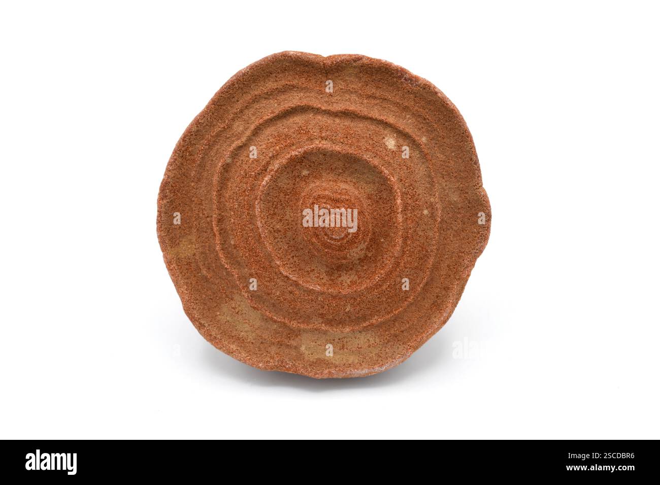 Cyanobacteria fossil hi-res stock photography and images - Alamy