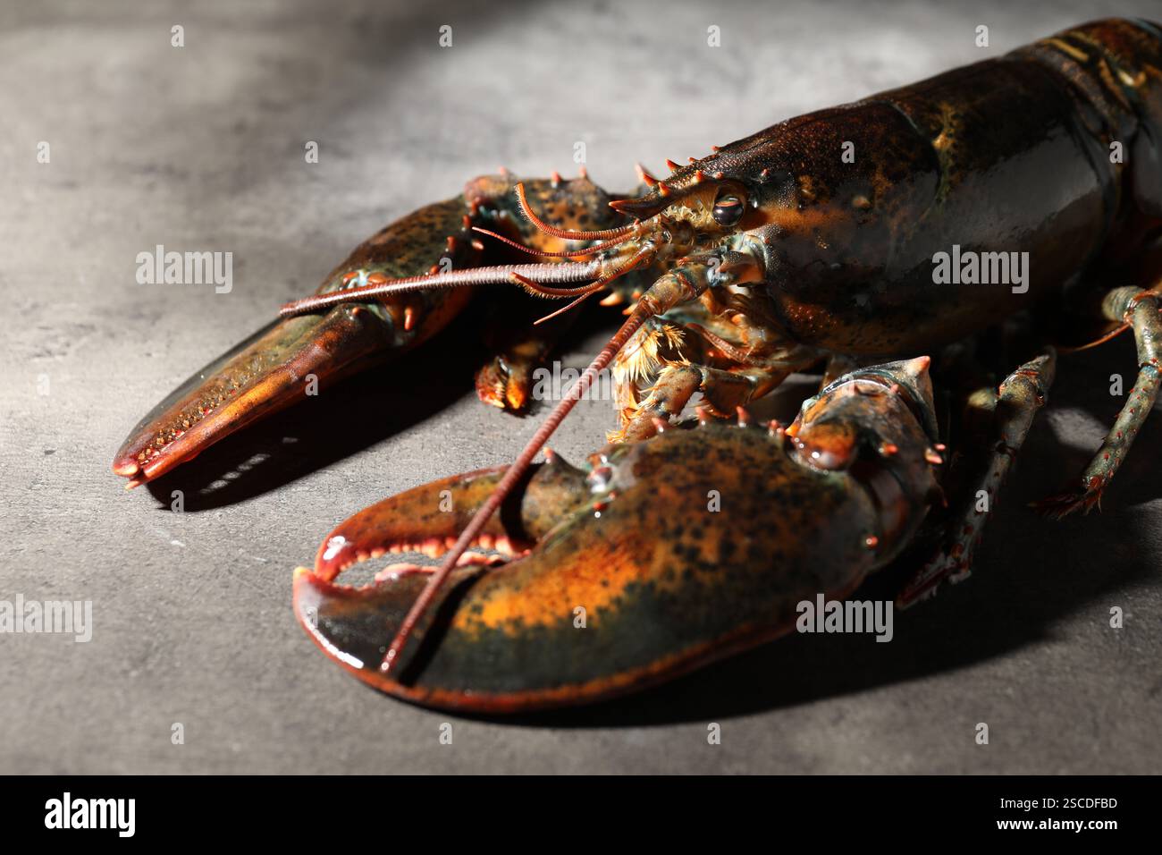 Raw lobster on grey textured table, closeup Stock Photo - Alamy