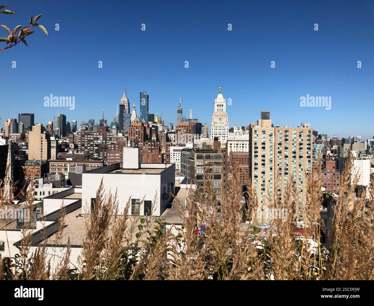 Cityscape View of Tribeca Neighborhood, Lower Manhattan, NYC with ...