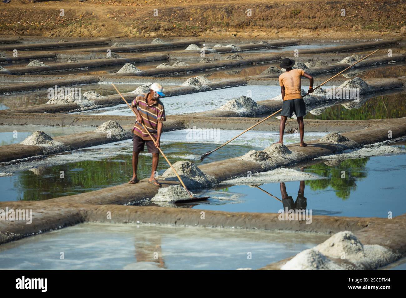 India, Goa, March 14 2017. Production of salt on a farm in India Stock ...