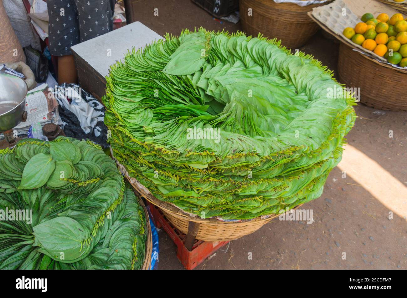 Leaves of betel (pan masala) on the market in Goa Stock Photo - Alamy